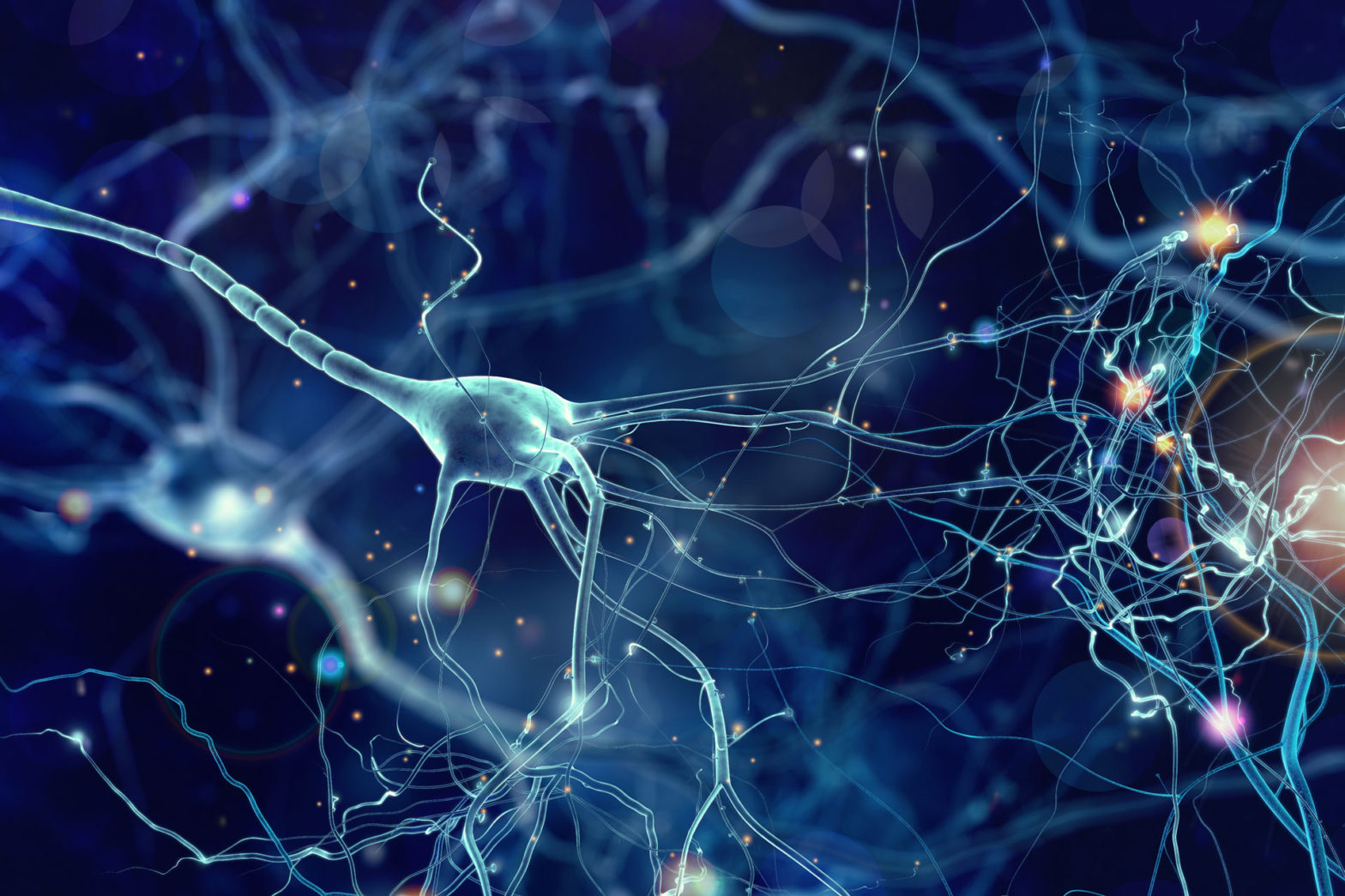 Foothills Neurology | Home | Scottsdale & Phoenix